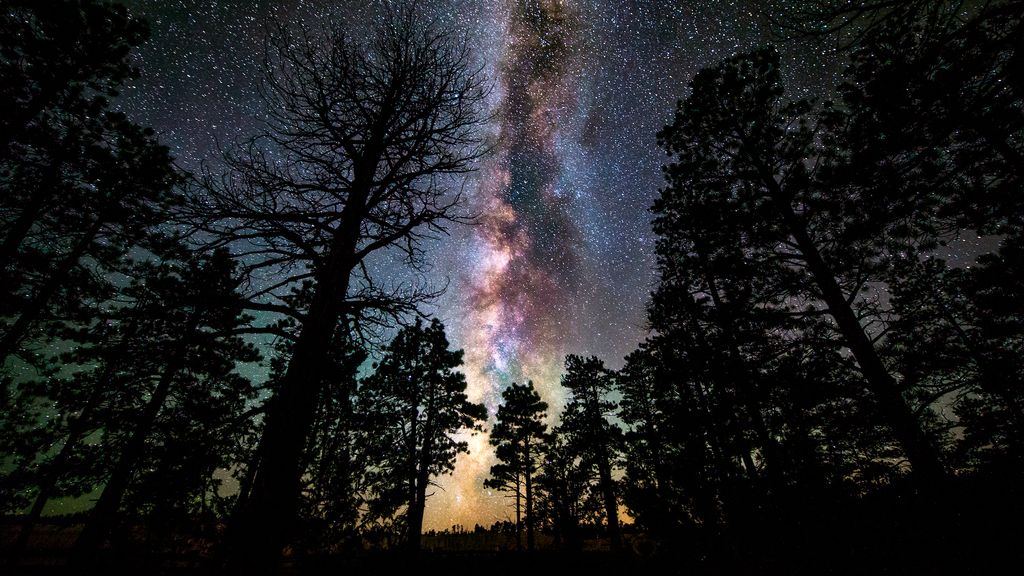 The Milky Way will be visible without a telescope this summer. Here are ...