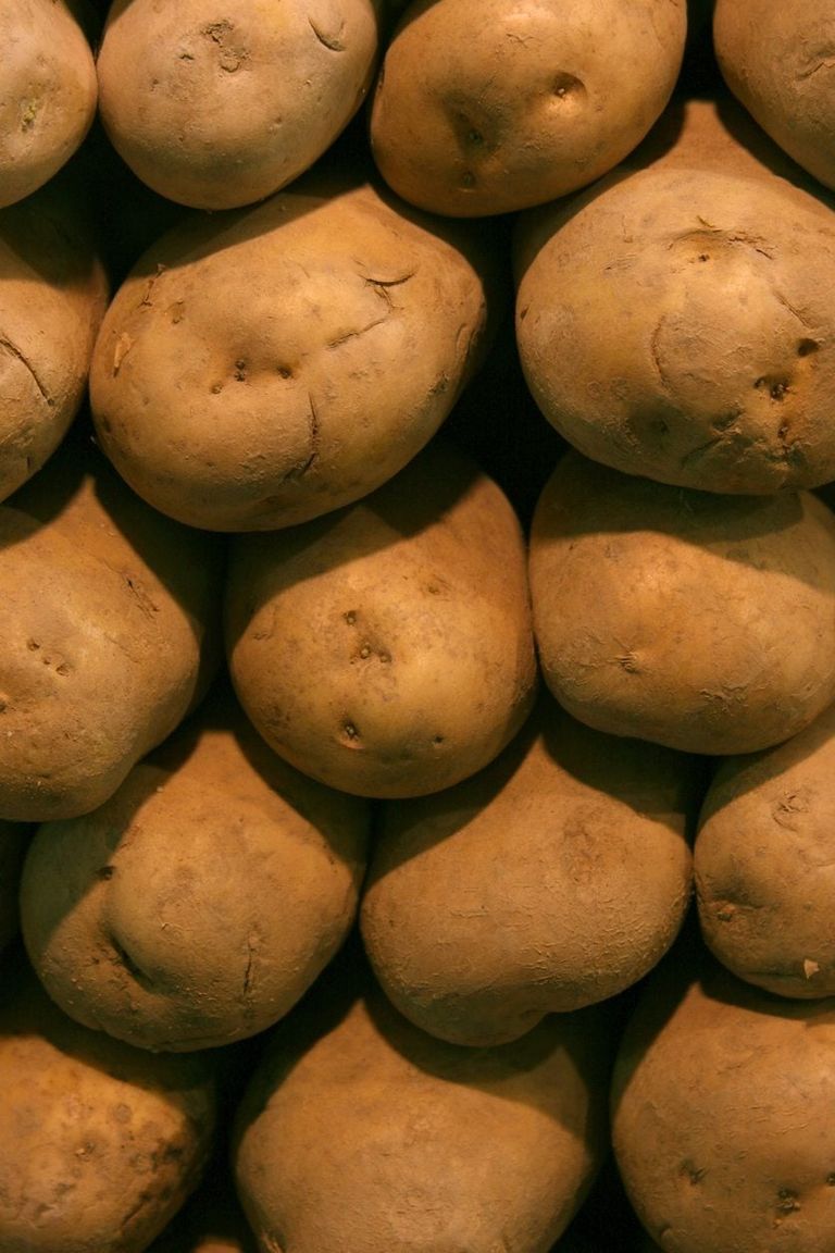 Irish Potato Information: Tips On Planting Irish Potatoes In The Garden ...