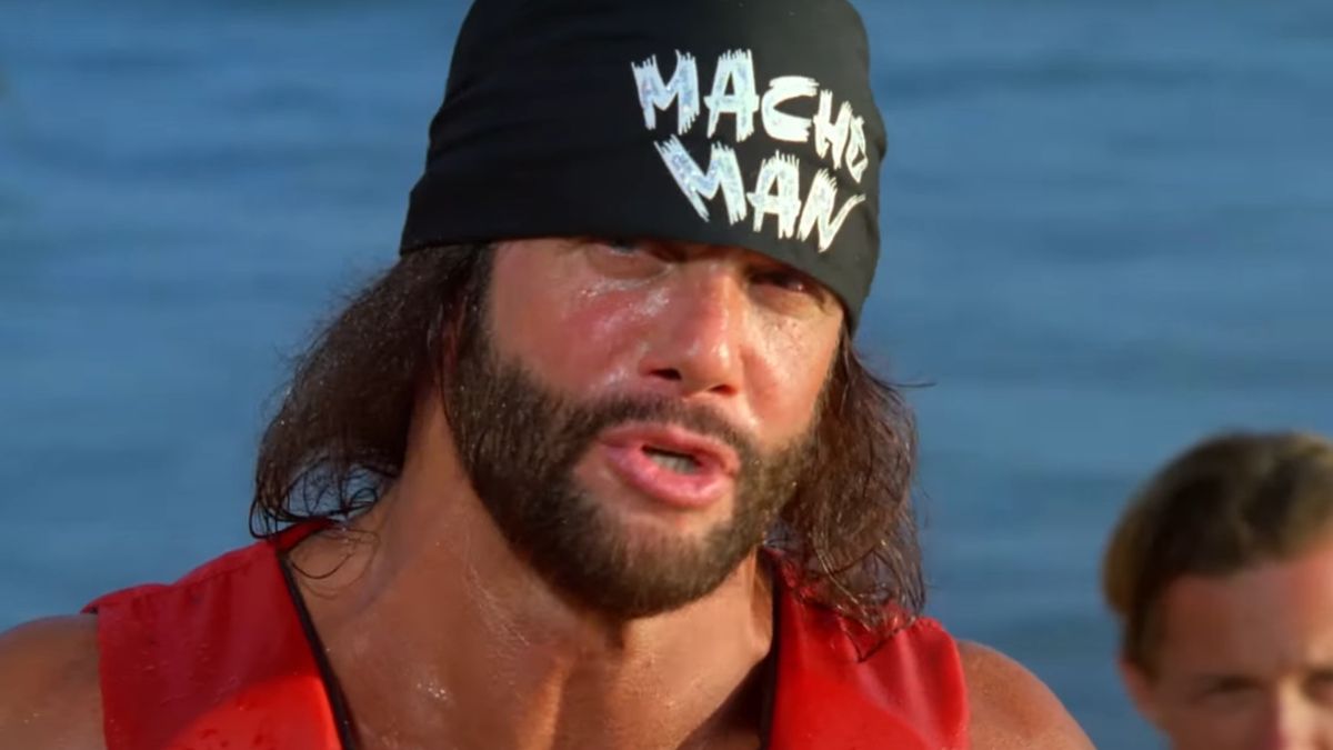 32 TV Shows Featuring Professional Wrestlers | Cinemablend