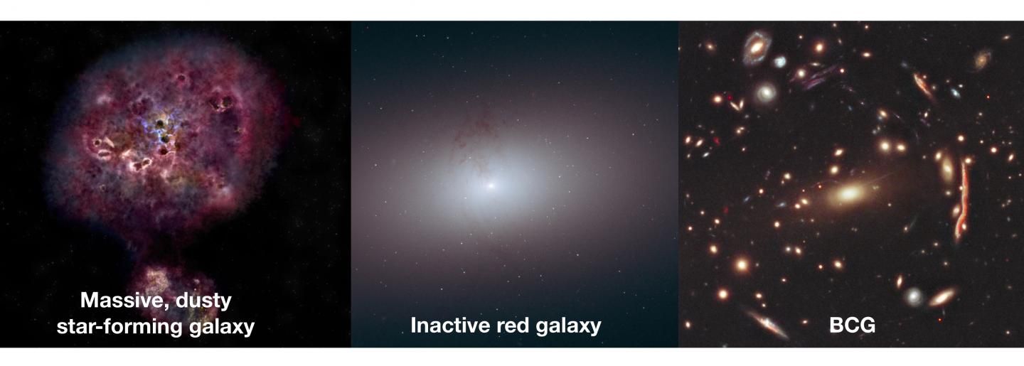 Rare monster galaxy grew rapidly 12 billion years ago … then suddenly ...