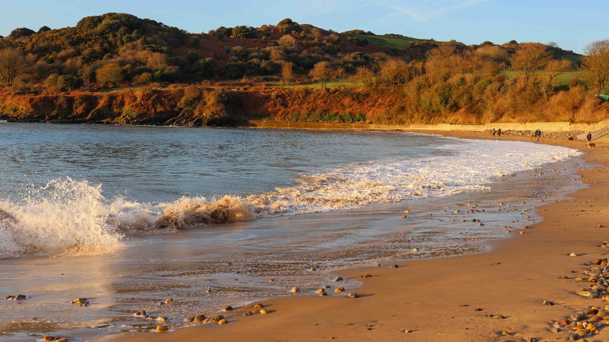 Canon EOS R7 Review | Space