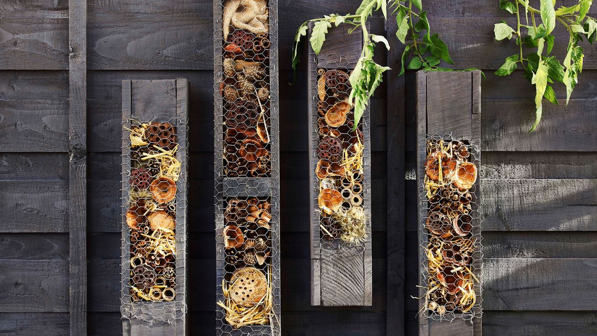 How to make a bee hotel | Real Homes