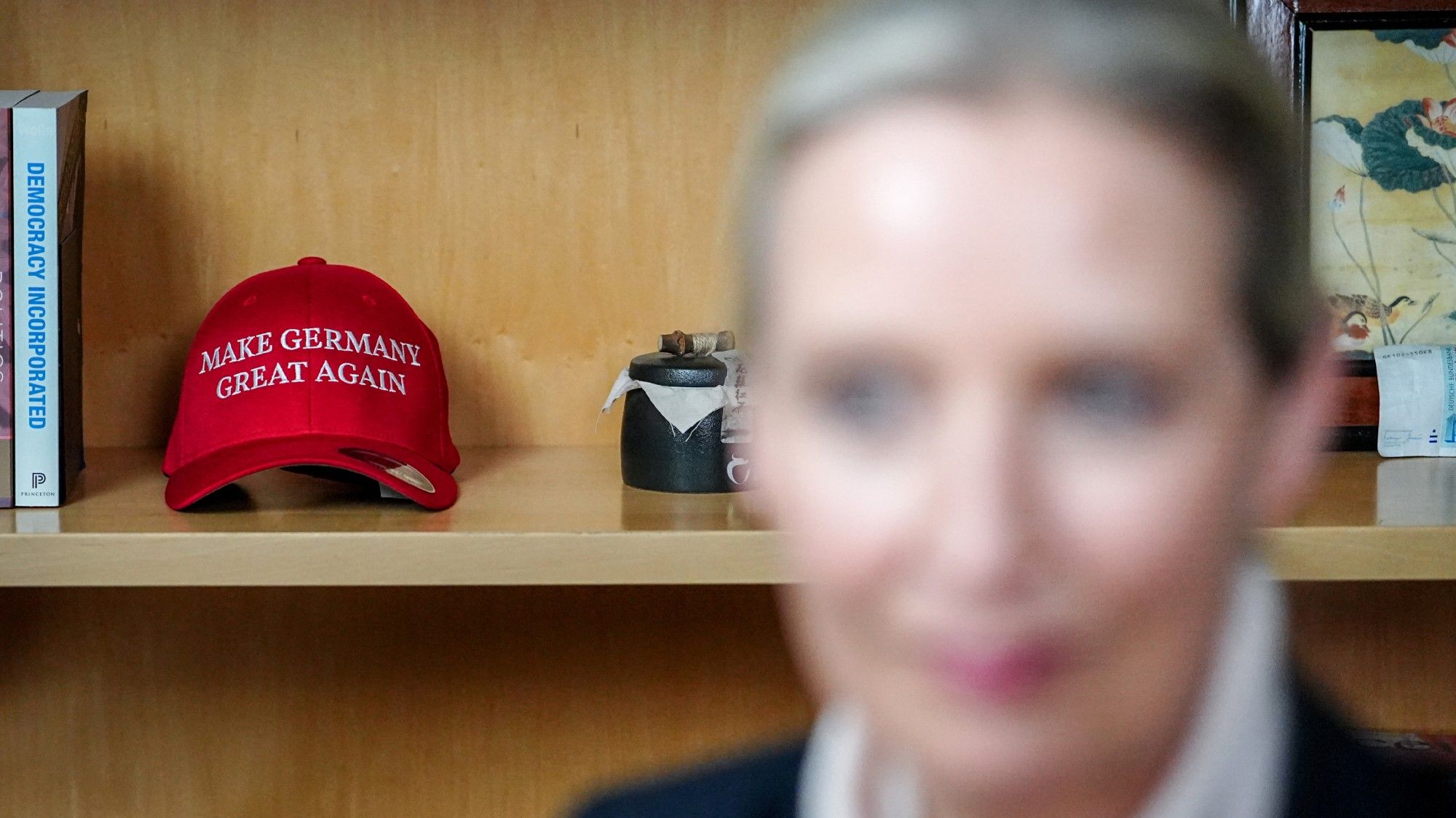 Elon Musk's support for AfD makes waves in Germany | The Week
