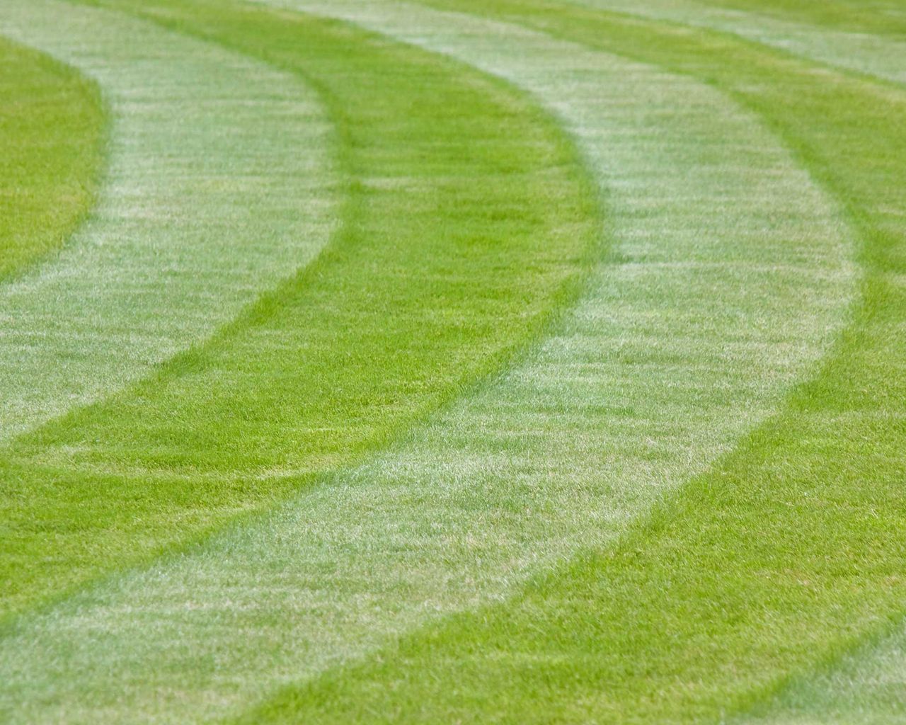 Lawn mowing patterns: 6 designs plus tips on how to do it | Gardeningetc