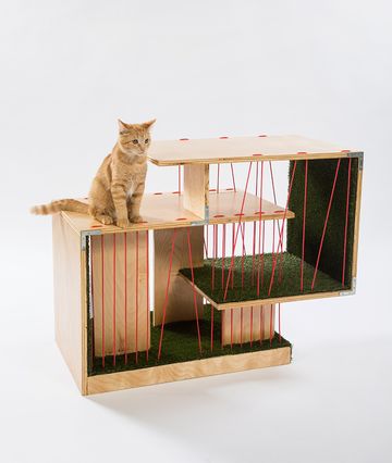 Well-designed homes for homeless cats | Wallpaper*