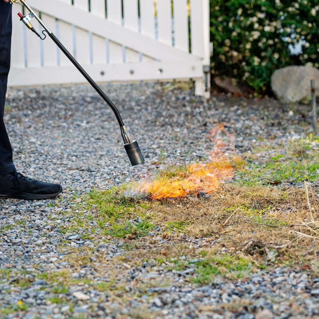 How does flame weeding work? Experts share | Ideal Home