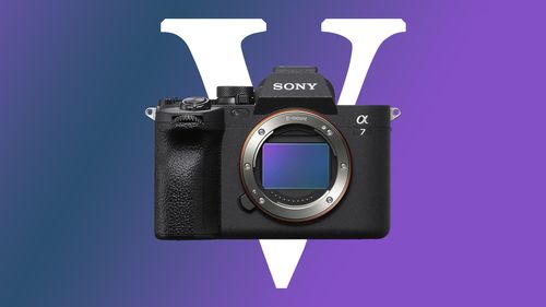 A full-frame 12K FX8 cine powerhouse? Bring it on, Sony! | Digital ...