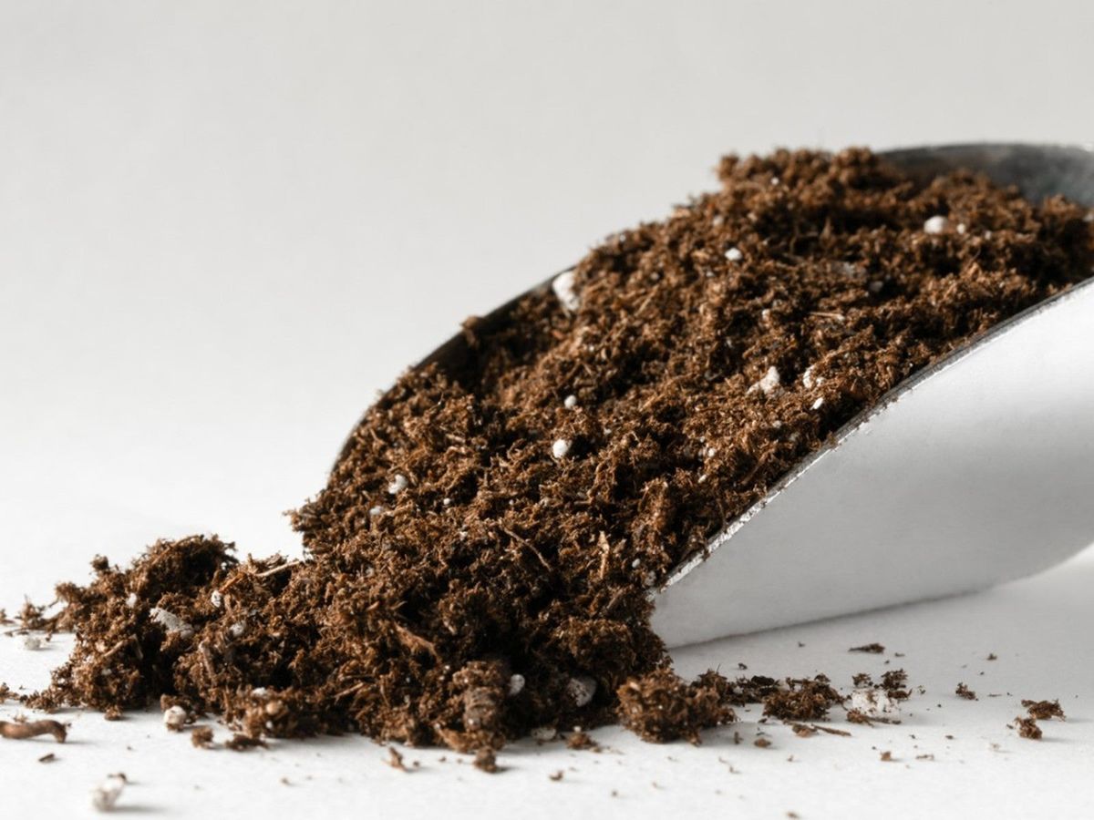 Picking The Right Potting Soil Mix For Container Vegetables | Gardening ...