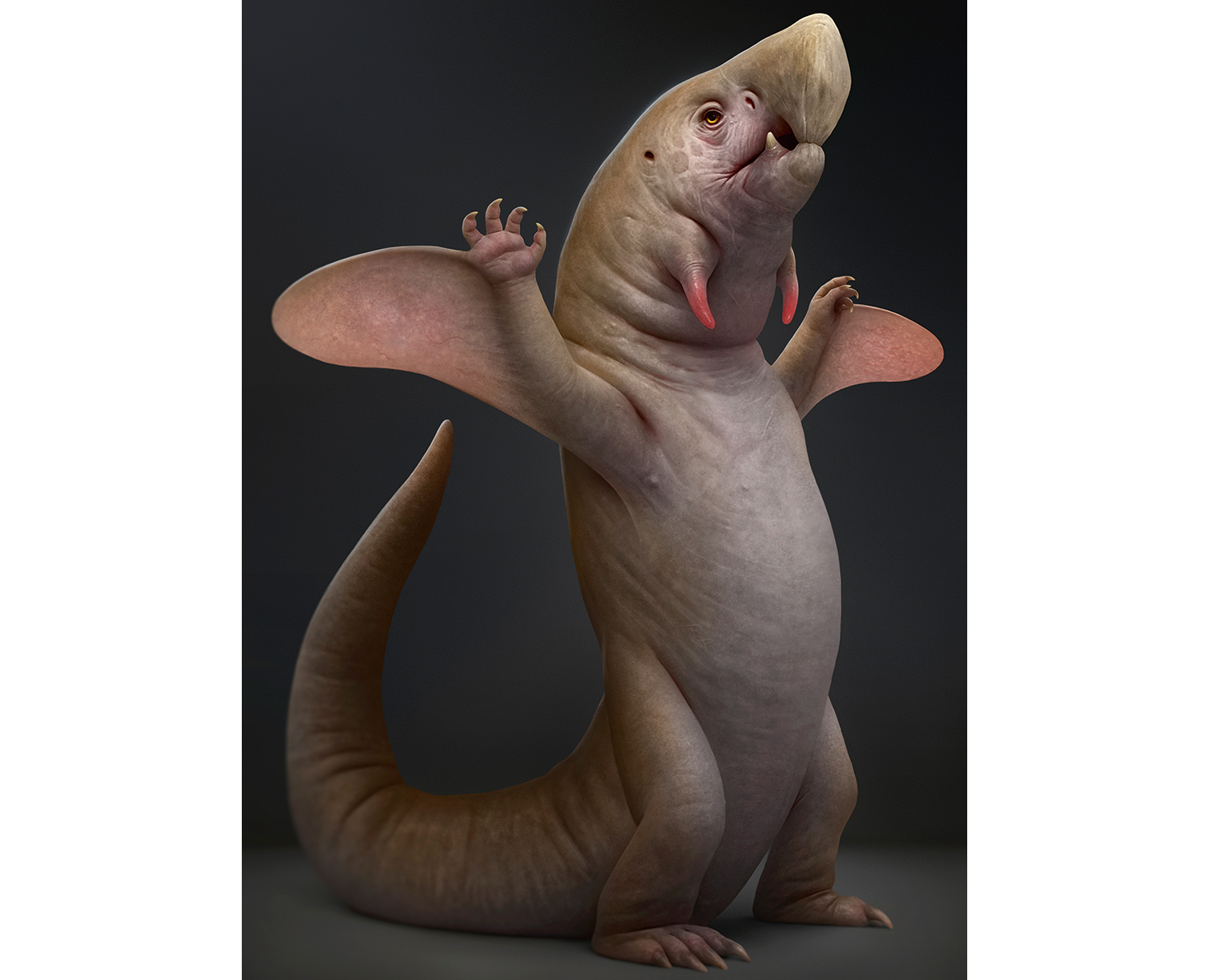 How To Create A Super realistic Fantasy Creature TheFastCode