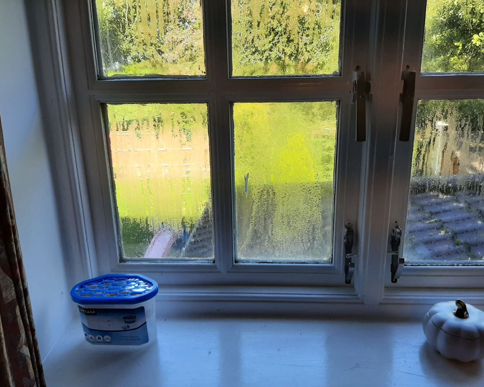 I tried 4 methods to stop condensation on my windows | Homes and Gardens