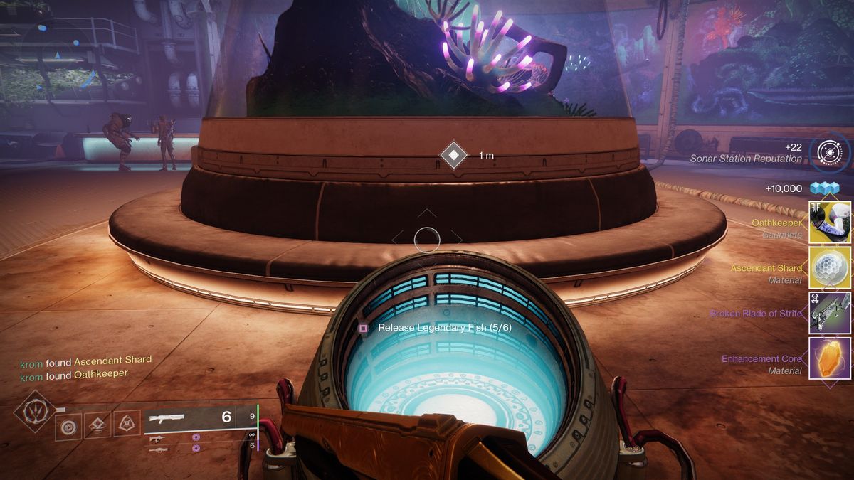 Destiny 2: How to catch Exotic fish and use each Broken Blade | PC Gamer