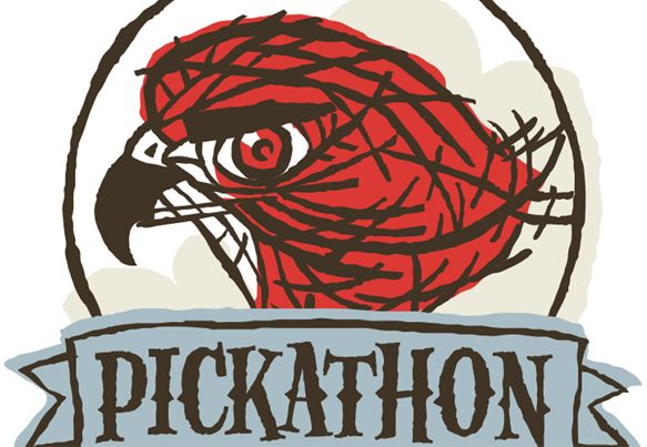 Pickathon 2014 Announces Lineup and Schedule | Guitar World