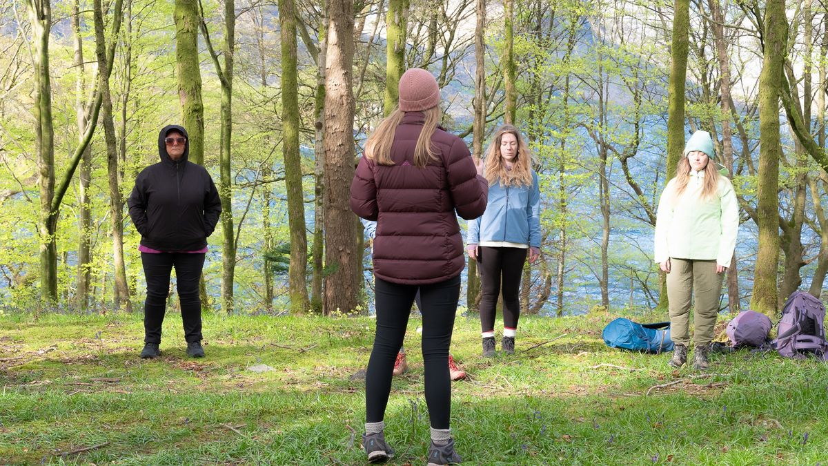 I ditched my trekking poles and tried forest bathing – here’s what I ...