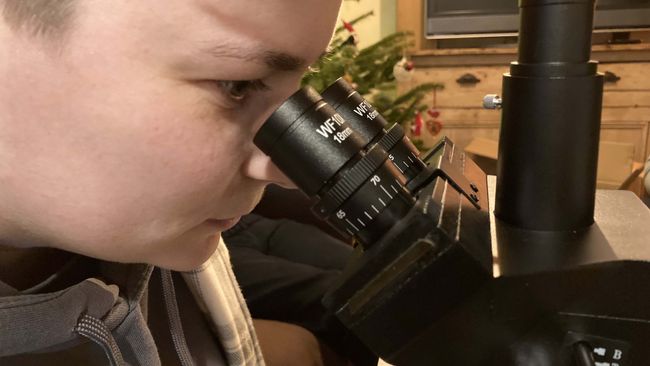 Celestron Labs CB2000C Advanced Biological Trinocular Microscope review ...