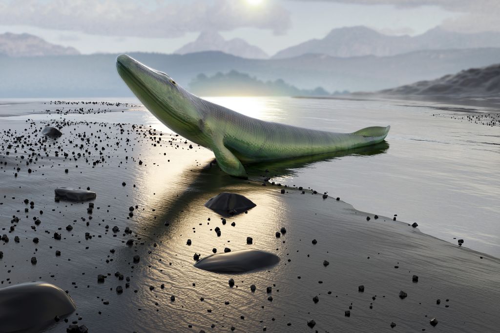 Dolphins and orcas have passed the evolutionary point of no return to ... Dolphins and orcas have passed the evolutionary point of no return to ...