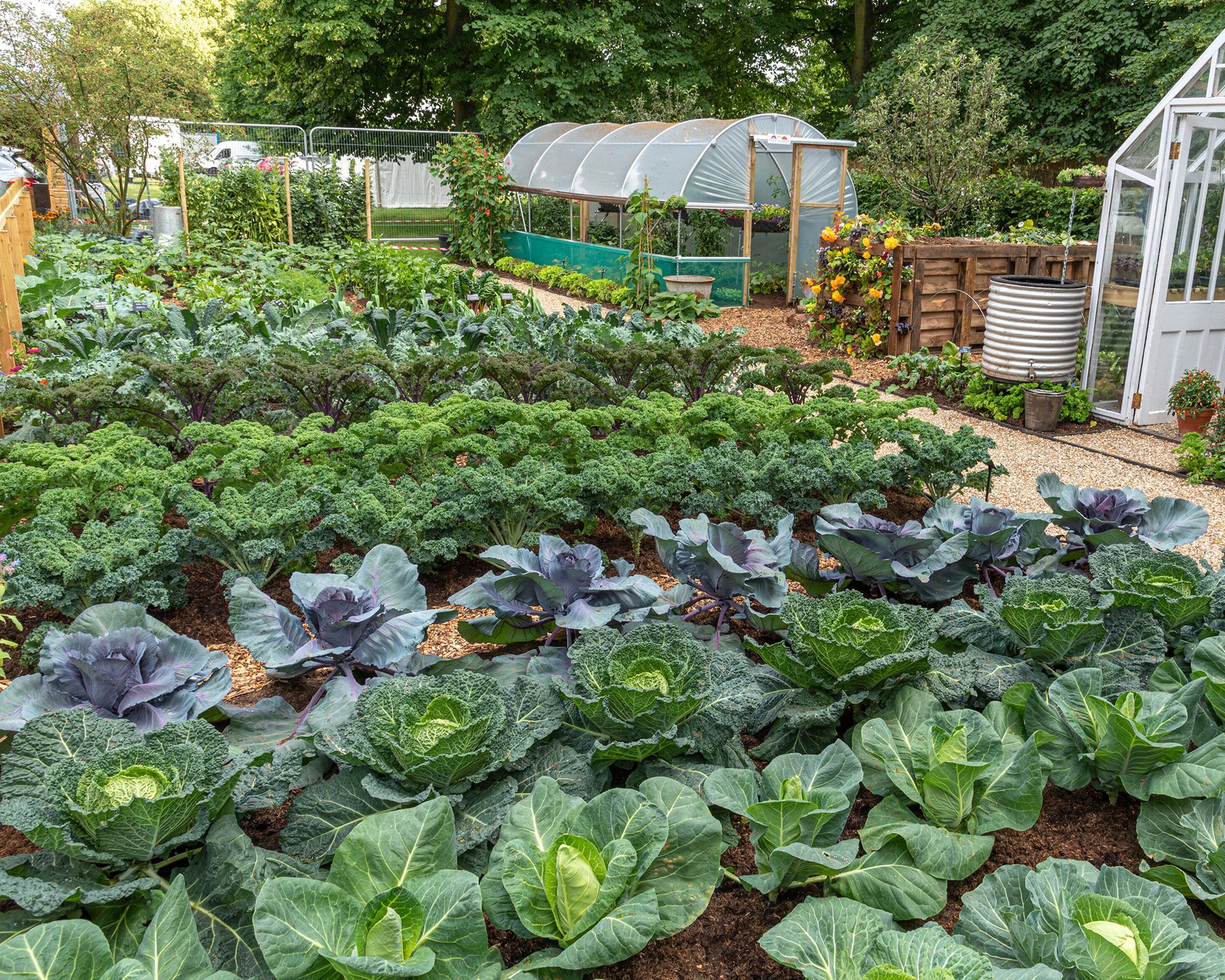 Crop rotation: a guide to healthier, more abundant veg | Gardeningetc