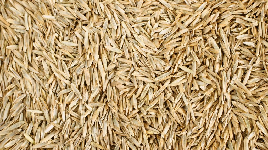 How to plant grass seed and get a greener yard | Tom's Guide