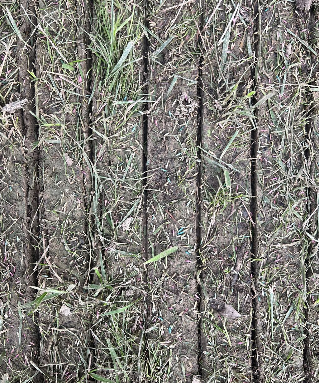 Slit seeding a lawn - an expert guide to doing it | Homes and Gardens