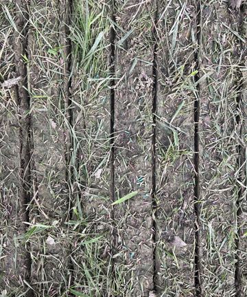 Slit seeding a lawn - an expert guide to doing it | Homes and Gardens