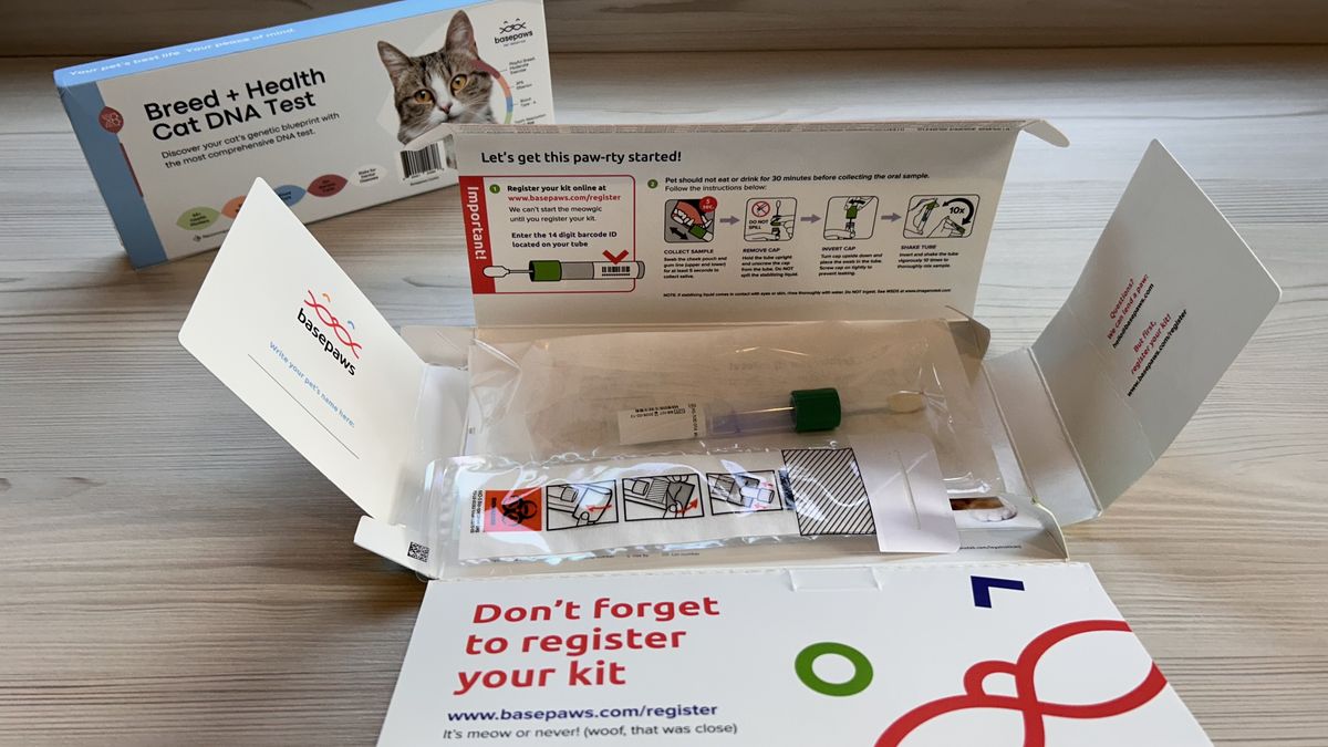 Discover your cat's genetic blueprint with 46% off the Basepaws Cat DNA ...