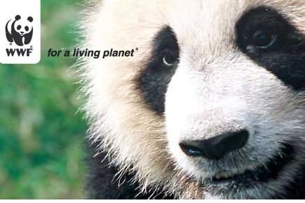 WWF goes for green web hosting | IT Pro