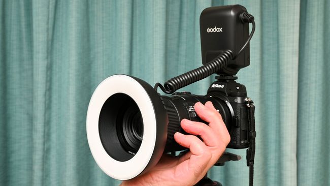 Cheat sheet: Rear curtain flash – how it works and why you need it ...
