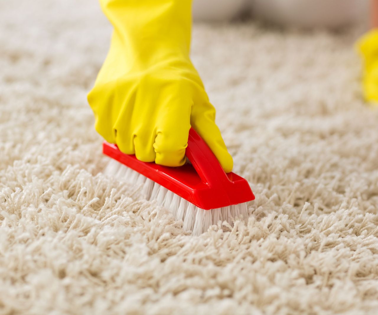 How to clean a carpet without a machine: 6 tips for a spruce up | Homes ...