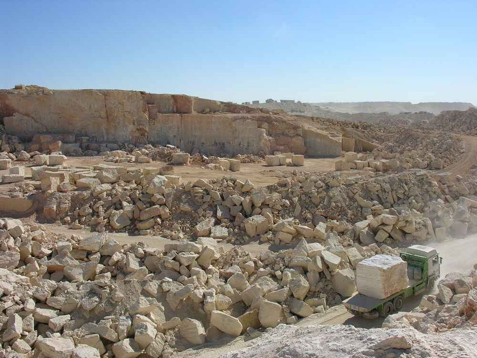 Frozen In Time: Removing An Ancient Whale From Limestone | Live Science