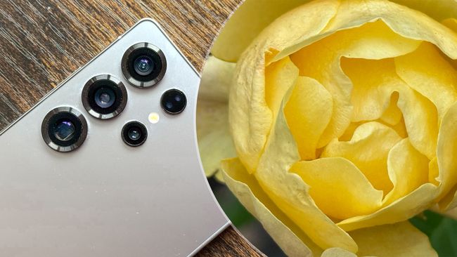 Apple unveils Shot on iPhone Macro Challenge winners — here's the top ...