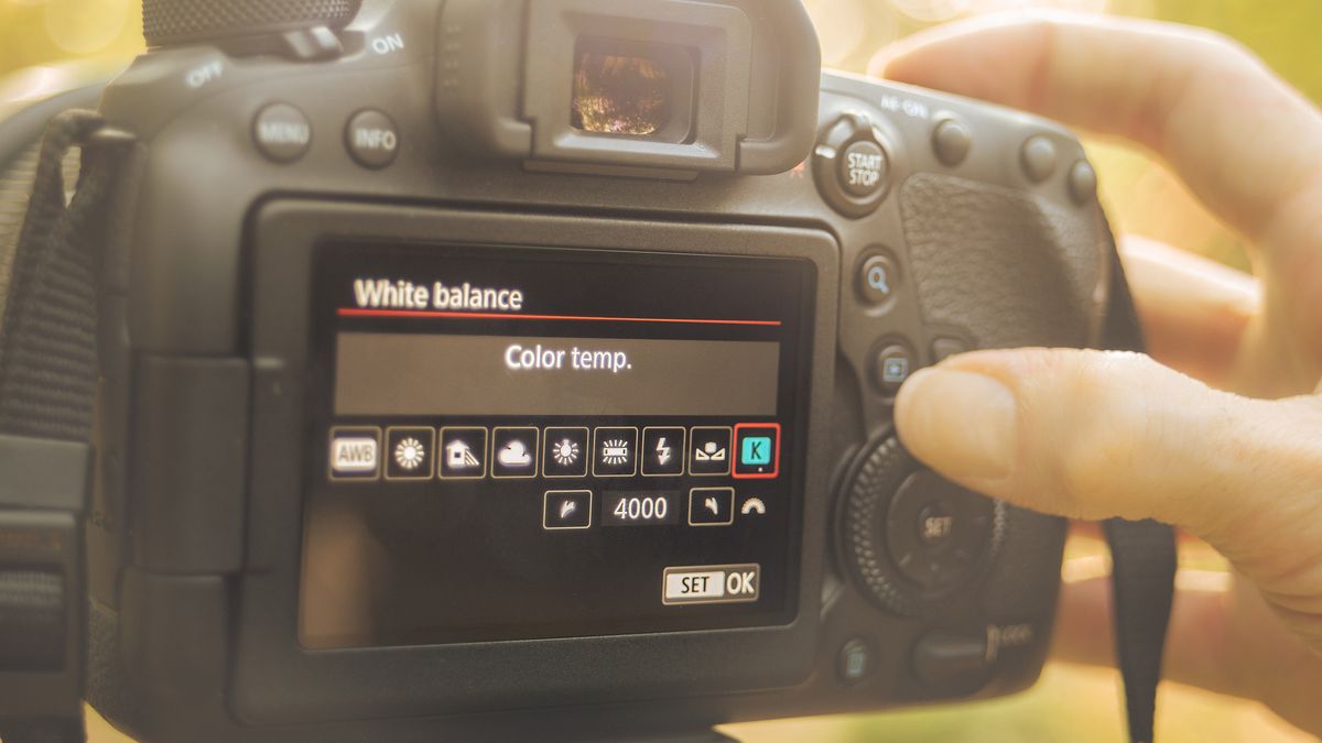 Get perfect fall colors in-camera! Use white balance like a pro ...
