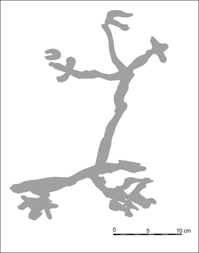 'Little Horny Man': Rock Carving of Giant Phallus Discovered | Live Science