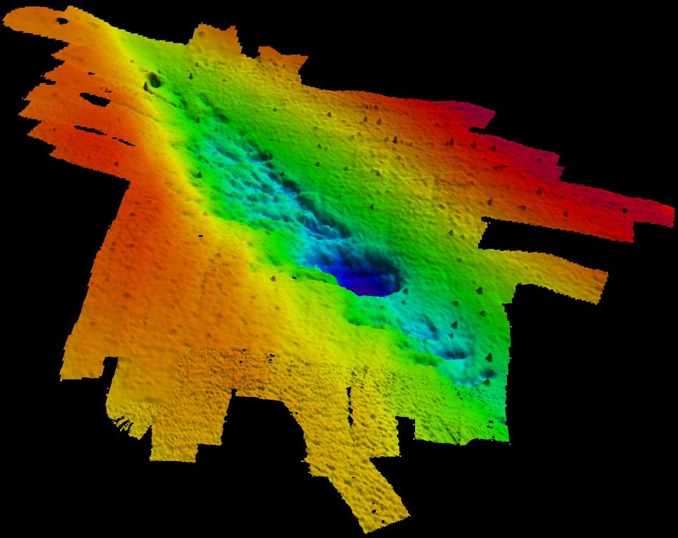Primeval Underwater Forest Discovered in Gulf of Mexico | Live Science