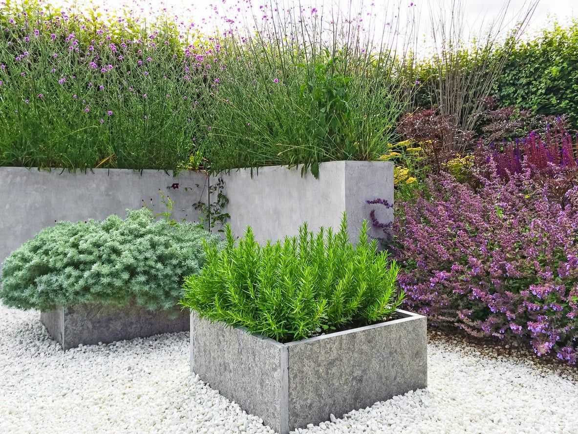 What Is A Contemporary Garden: Learn About Contemporary Garden Design ...