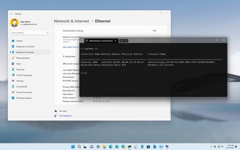 How to find MAC address on Windows 11 | Windows Central