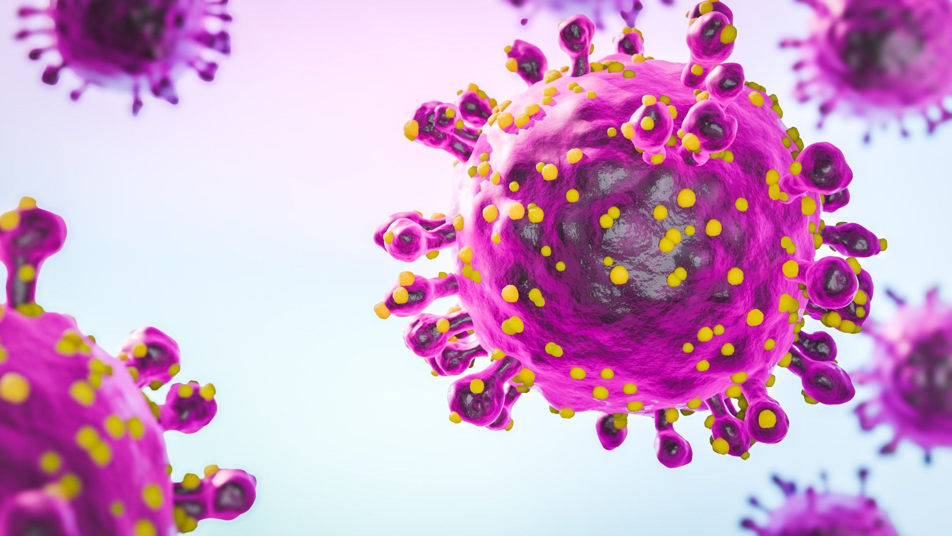 What to know about Oropouche virus — the deadly fever that has reached ...