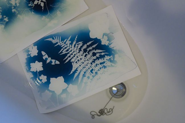 Craft your own cyanotypes at home with this quick and easy setup ...