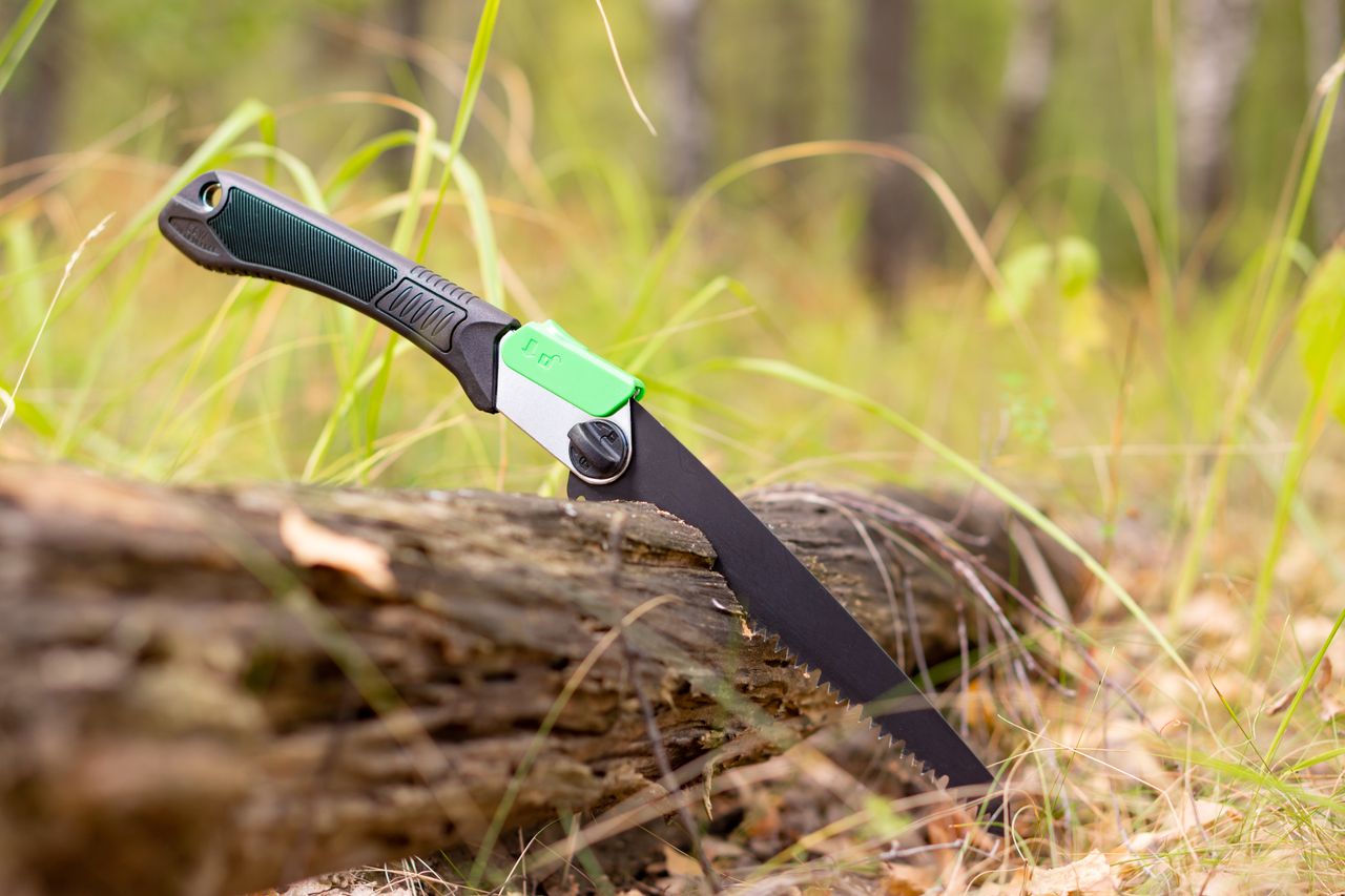 5 Pruning Tools That Will Make Tidying Your Plants Up Easy | Livingetc