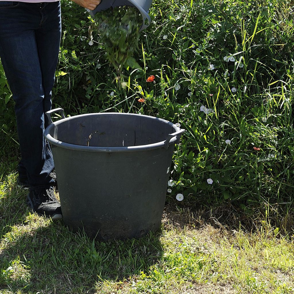 What is peat compost - what you need to know about the controversial ...