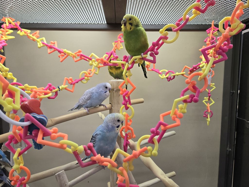 I edited these photos with the Galaxy S24's Generative Edit — and they ...