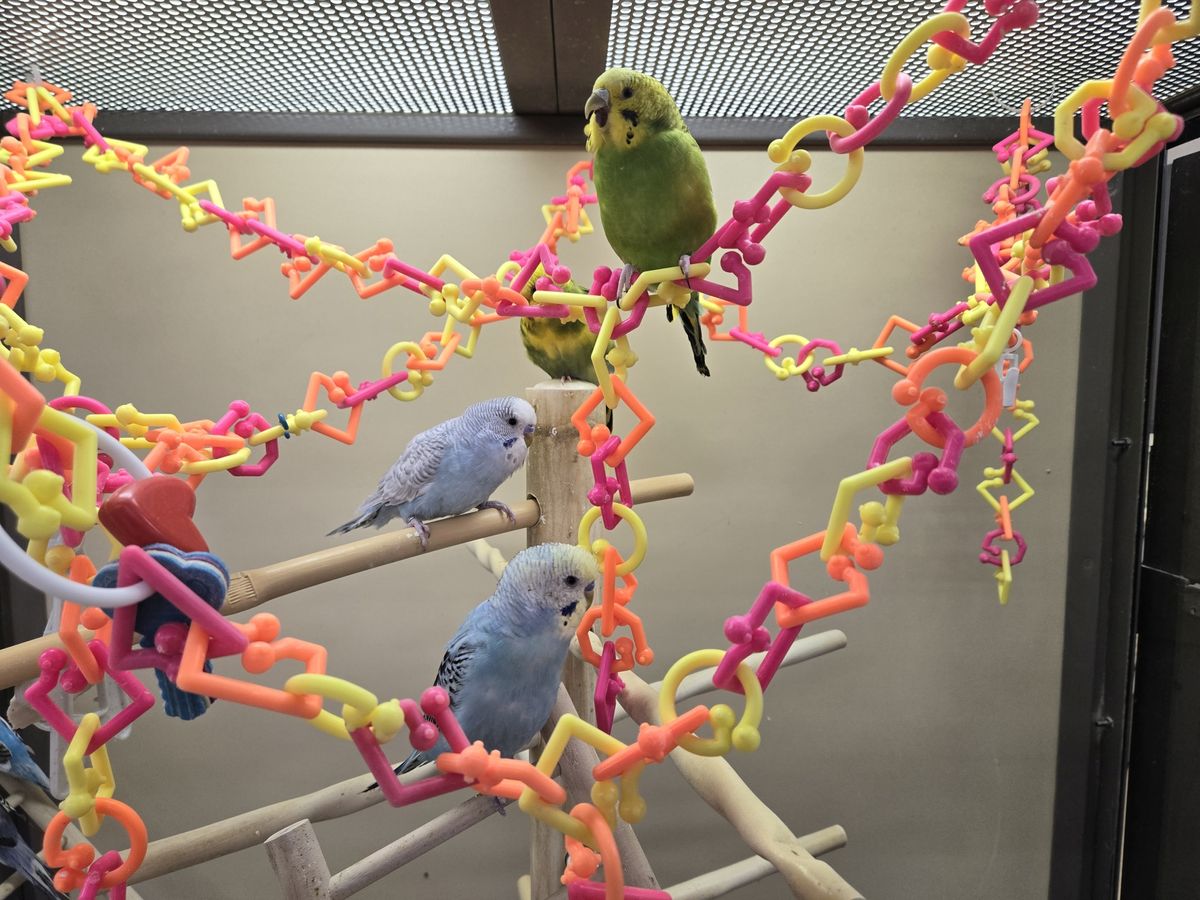 I edited these photos with the Galaxy S24's Generative Edit — and they ...