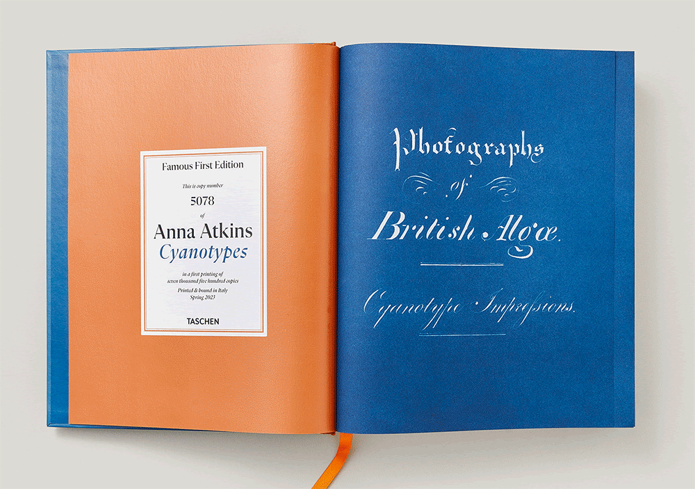 First female photographer Anna Atkins gets her beautiful cyanotypes ...