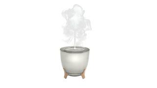 Best essential oil diffuser: 7 top buys for perfectly scented air ...