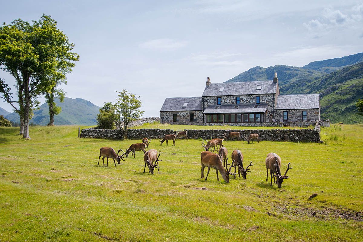 A 13,000-acre estate with seven properties and teeming with wildlife in ...