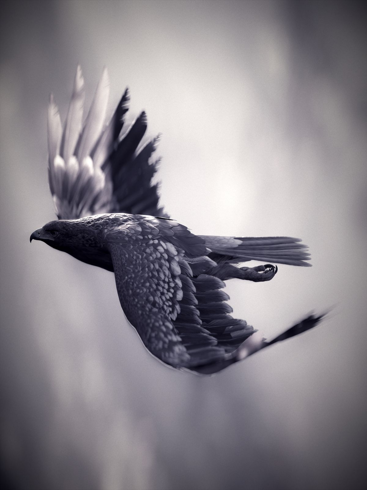 The prettiest screenshots of 2018 | PC Gamer