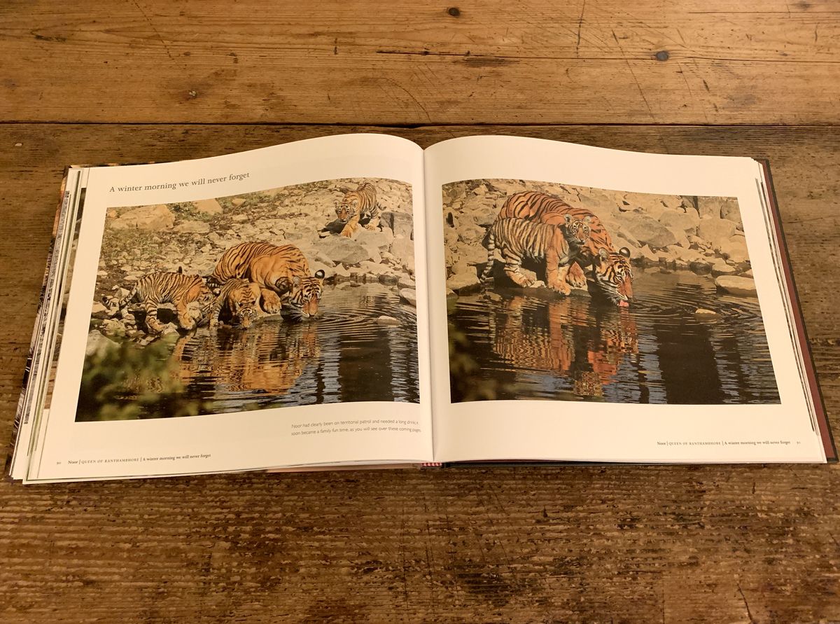 Andy Rouse photography book will delight tiger lovers | Digital Camera ...
