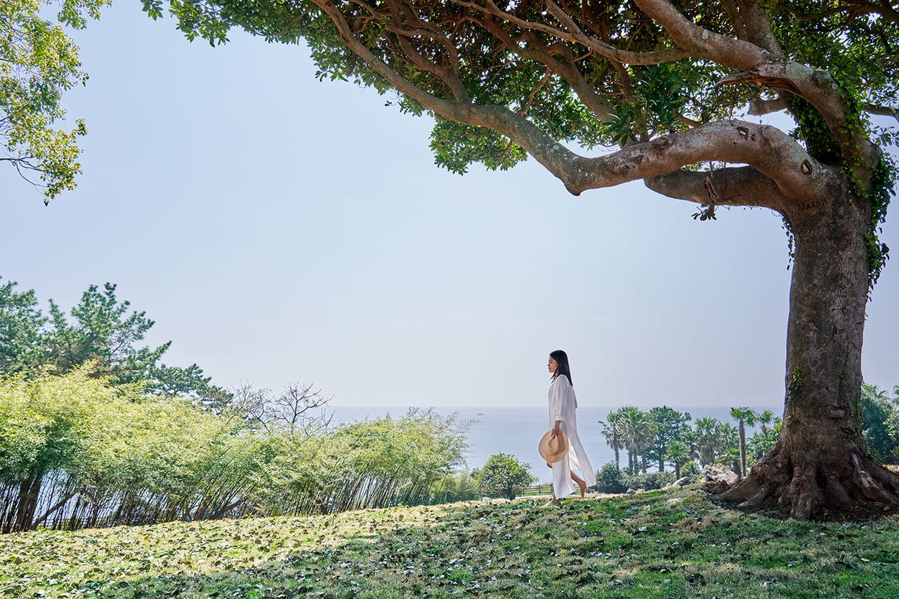 JW Marriott Jeju opens in South Korea | Wallpaper*