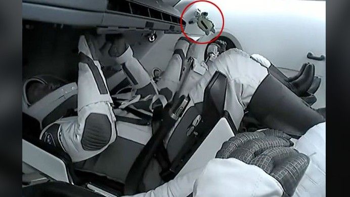 Outside of Earth's 'shell,' SpaceX's Crew-3 reveal turtle as zero-g ...