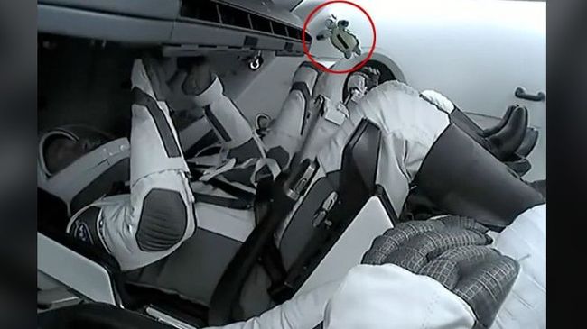 Outside of Earth's 'shell,' SpaceX's Crew-3 reveal turtle as zero-g ...