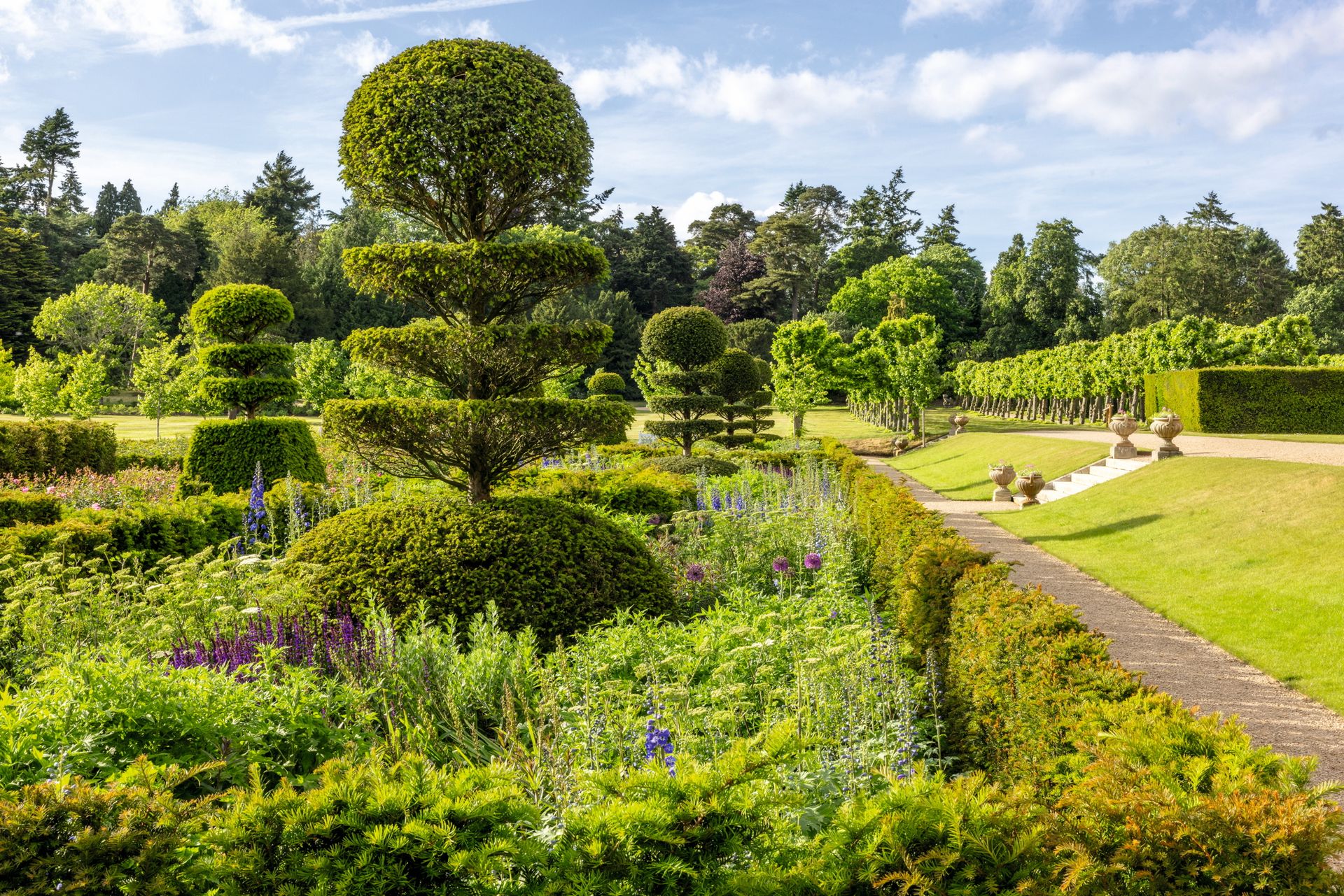 Exclusive: The King's remarkable resurrection of the gardens and ...