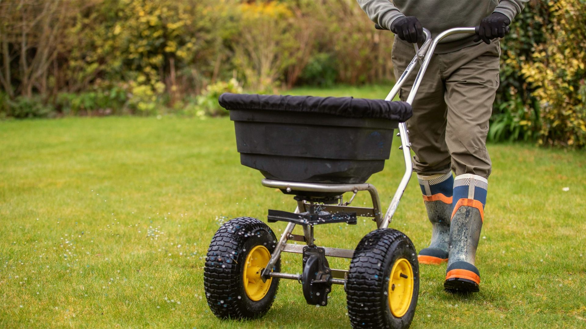 5 Horticulturists Tell All: Best Fertilizers for Fall | Gardening Know How